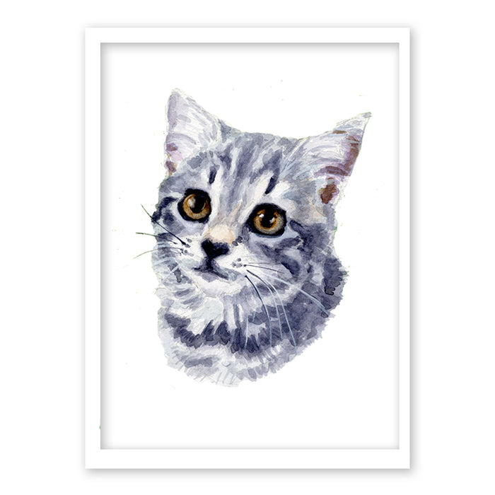 Minou Cat
