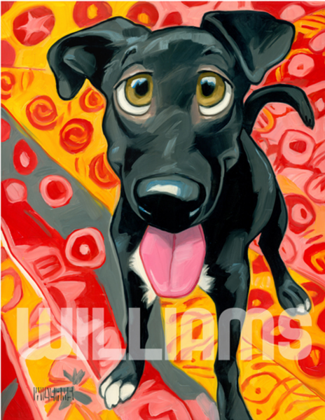 Nacho – Gallery Rinard